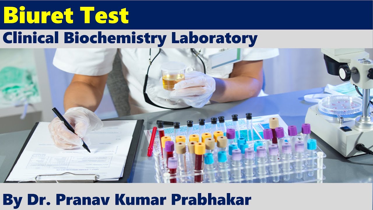Biuret Test (Test for peptide bond) - YouTube