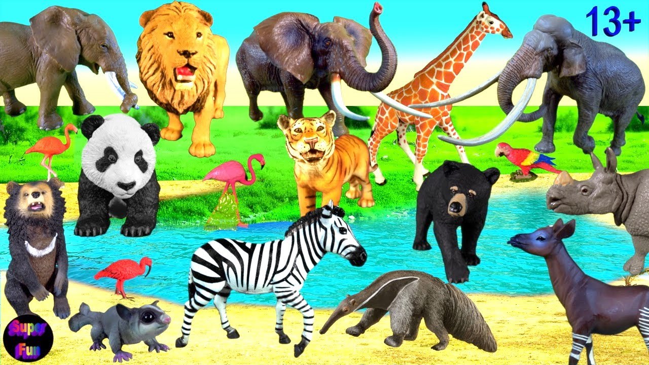 Animals - Lion Tiger Elephant Rhino Giraffe Zebra Bear Panda Lynx Okapi ...