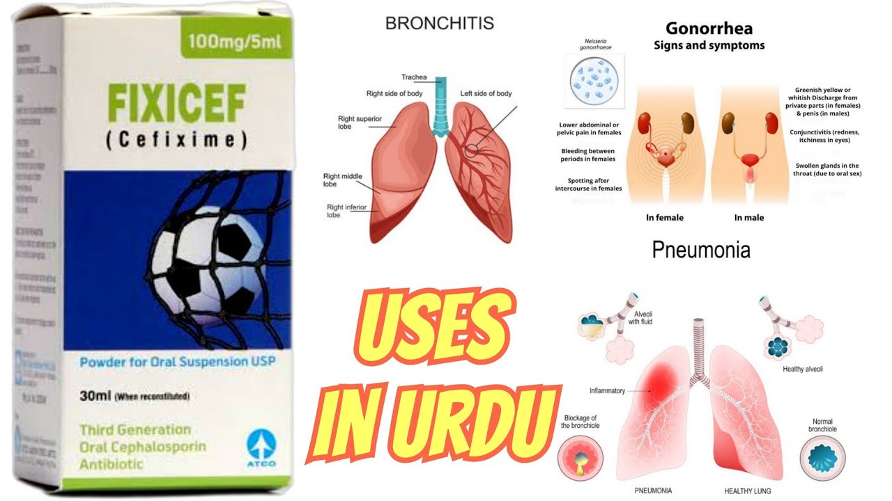Fixicef suspension syrup uses in urdu Hindi - YouTube