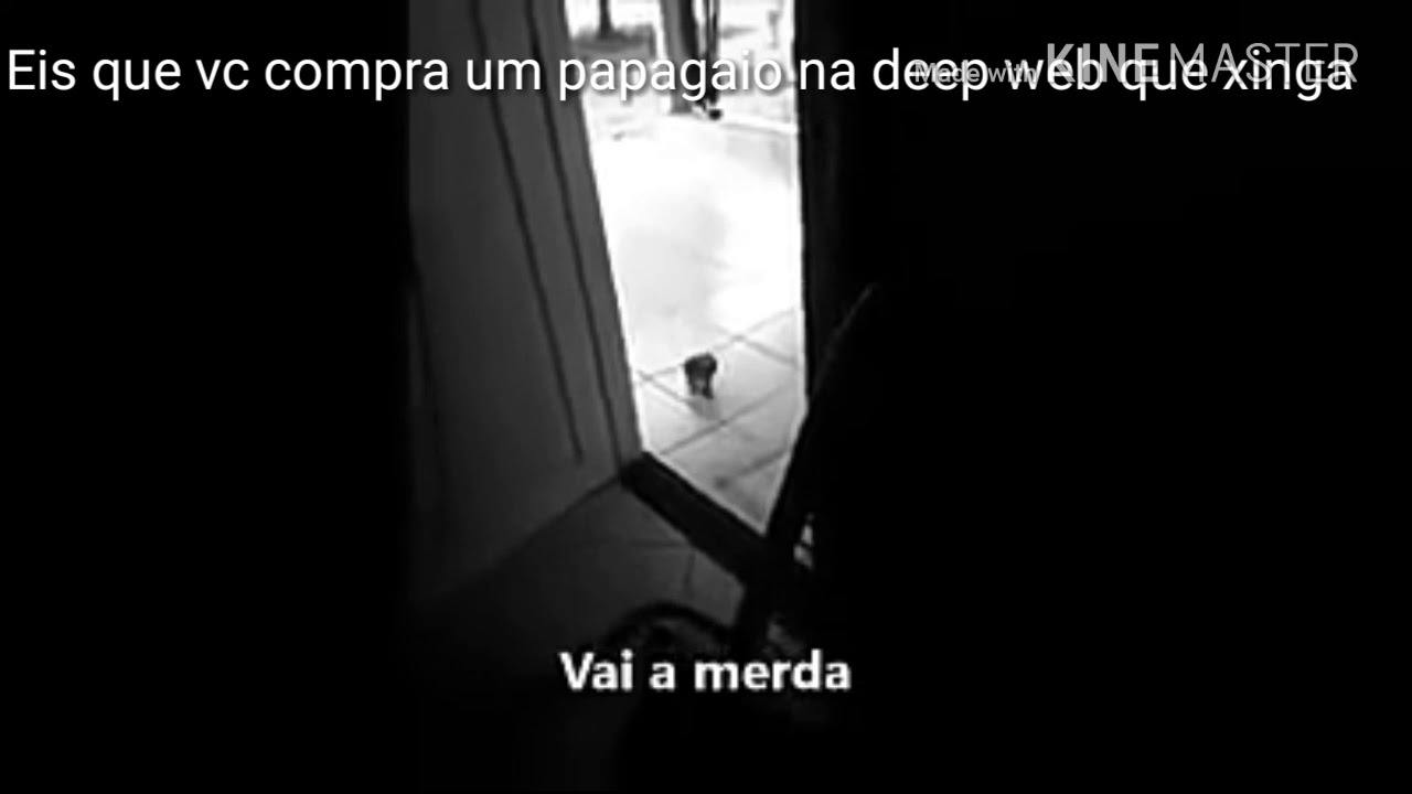 P A P A G A I O YouTube p-a-p-a-g-a-i-o-youtube