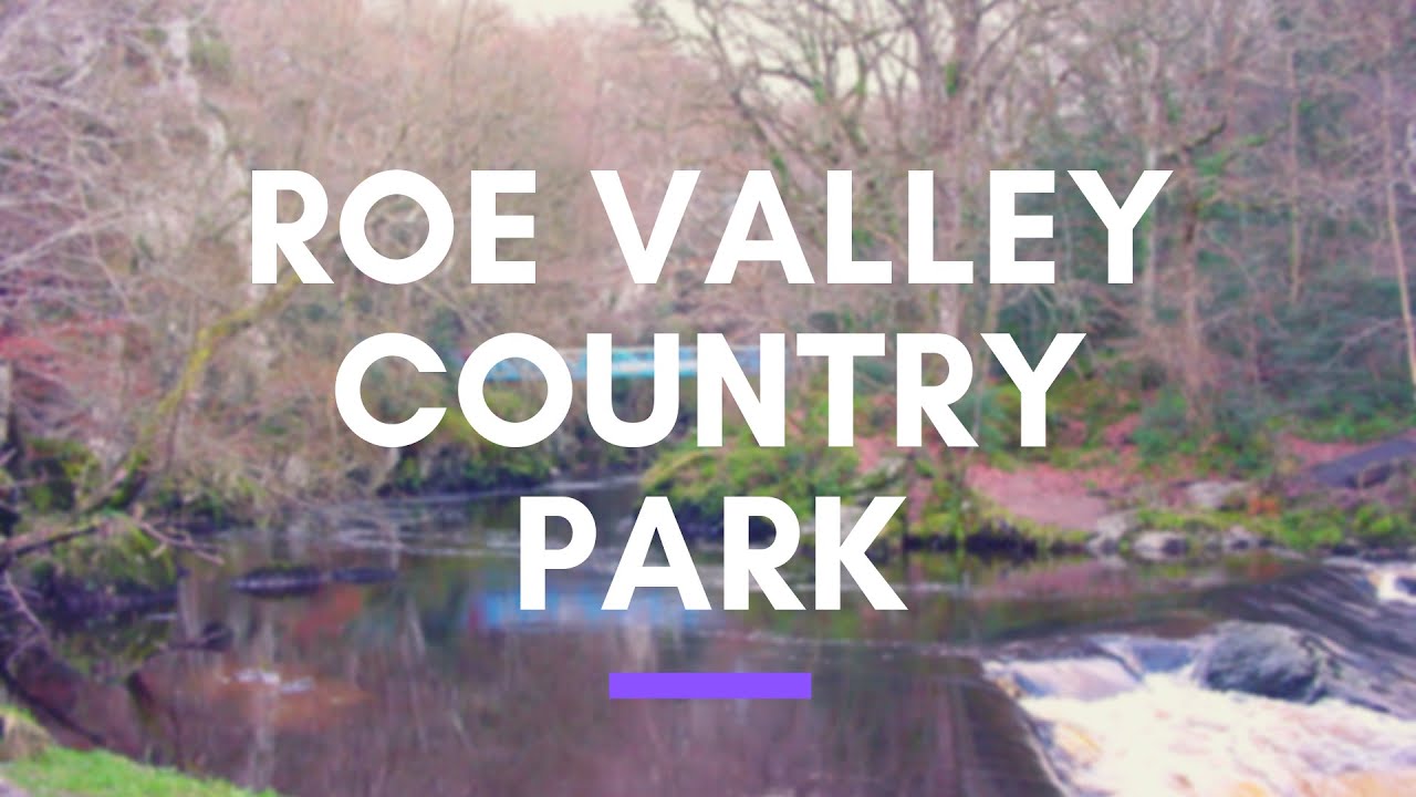 Roe Valley Country Park - Area 2 of 3 - Forest and River Roe - YouTube