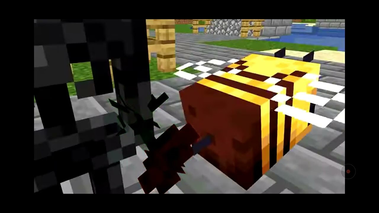 Wither Skeleton Girl sad story Minecraft ️ - YouTube