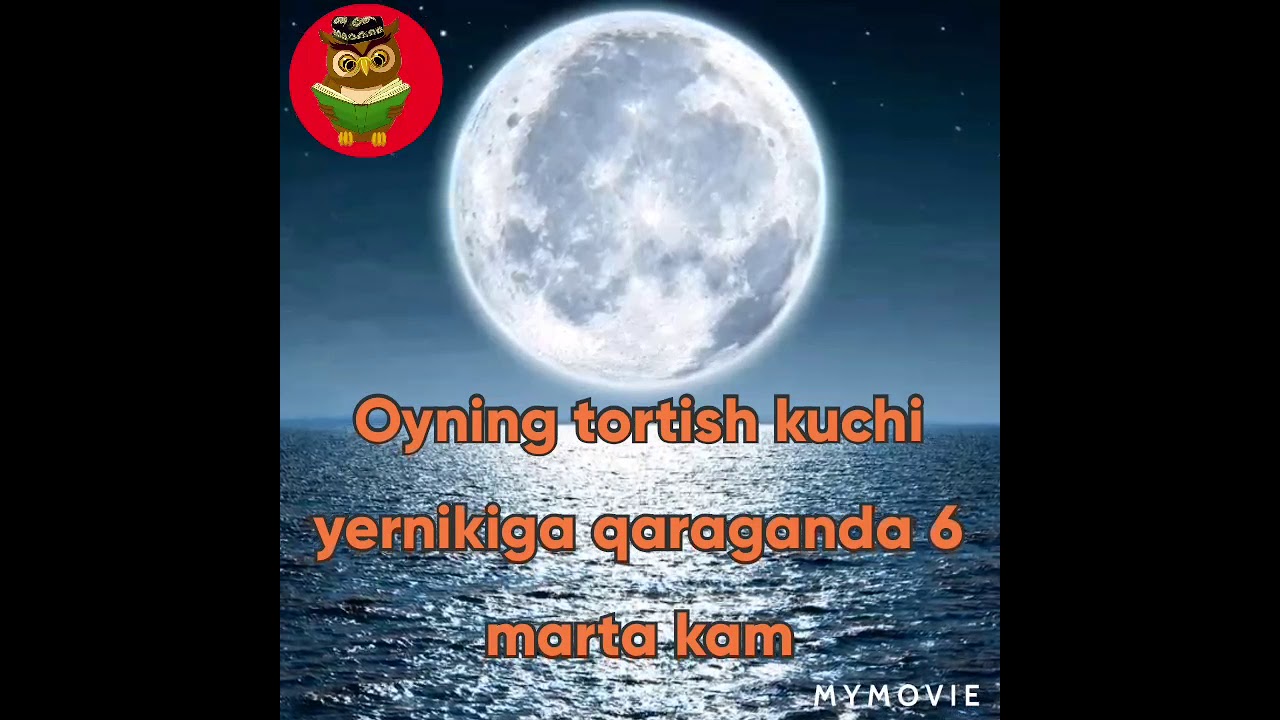 KOINOT HAQIDA ENG QIZIQ MA'LUMOTLAR - YouTube