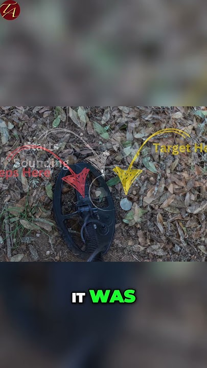 Mastering Metal Detecting: Pinpointing Tips for Success - YouTube