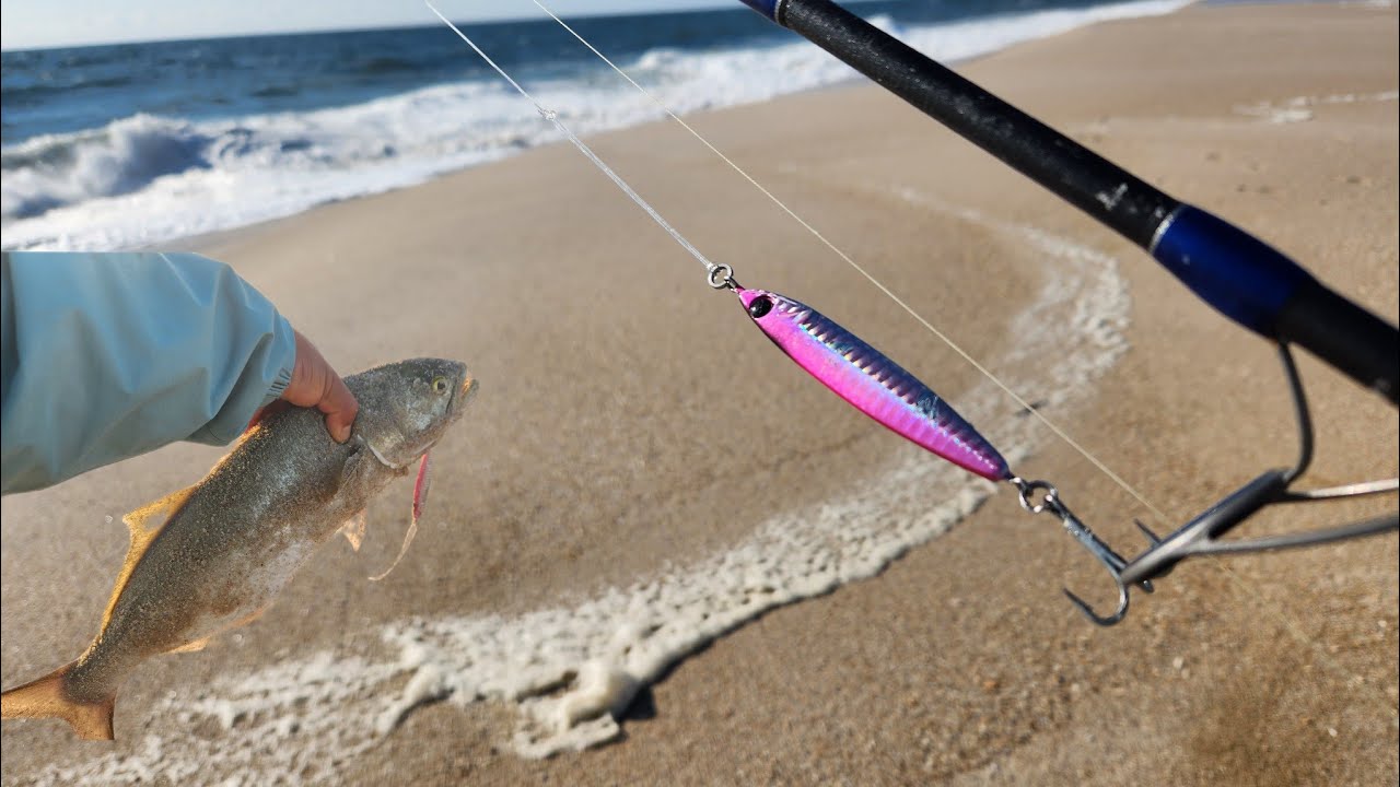 PESCA DE BLUE FISH, MIENTRAS INTENTABA PESCAR EL PES QUE NUNCA EH ...