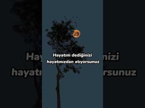 giden mi suçludur yoksa kalan mı?