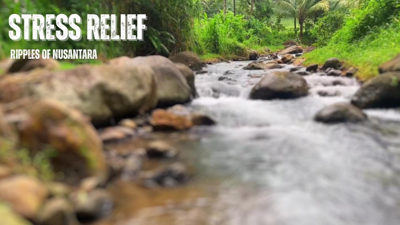 Refreshing River Escape | Calming Water Sounds for Inner Peace - YouTube