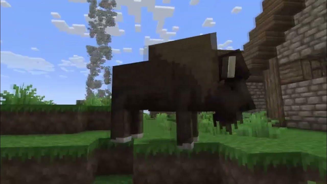 I FOUND a BISON in MINECRAFT ! 🐮 😮 - YouTube