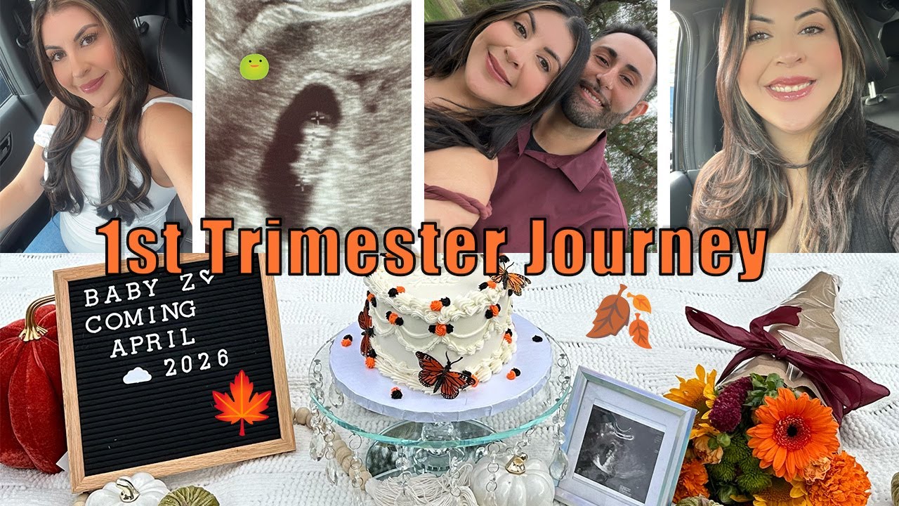 Dee Diaries - 1st Trimester Pregnancy, Ultrasounds, Lake Tahoe ...