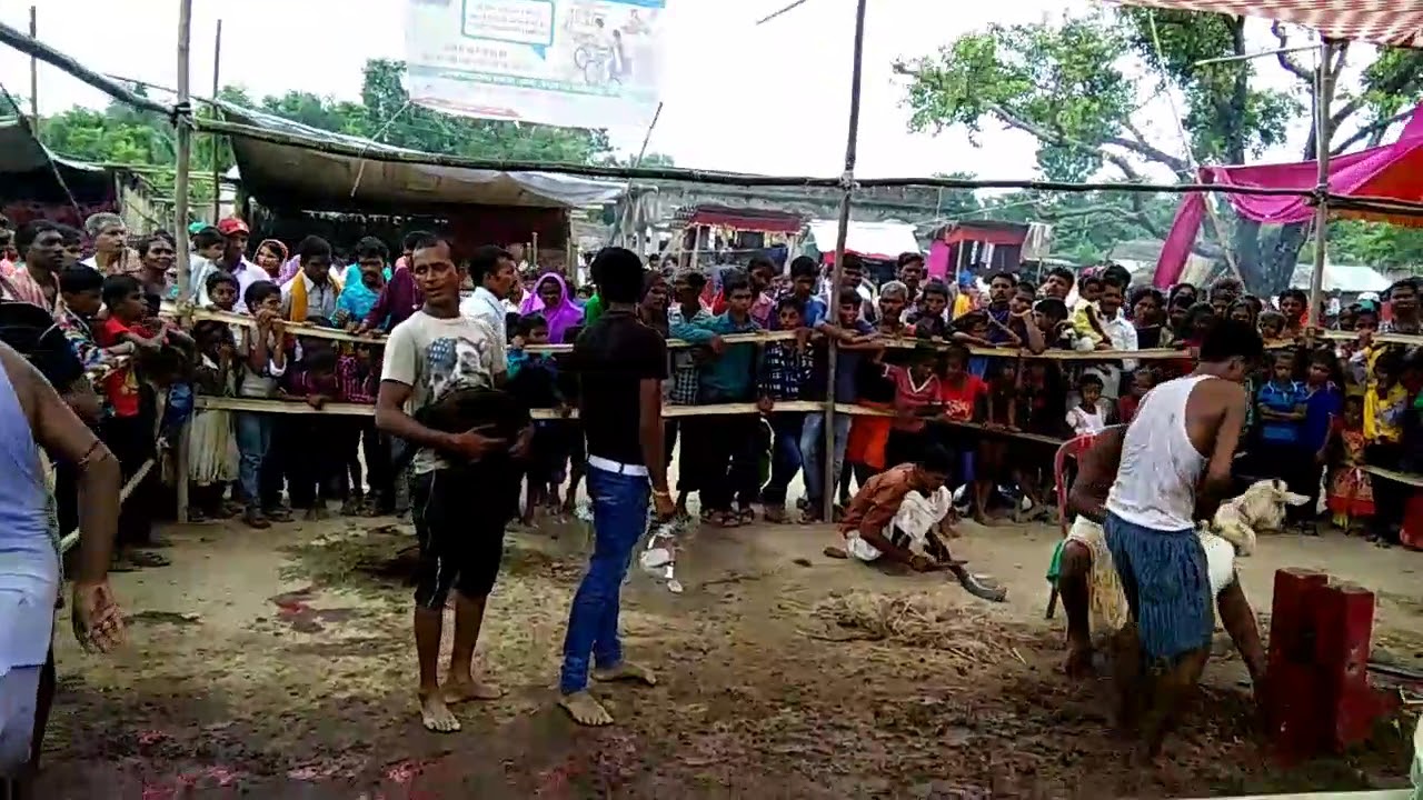 Durga puja Bali pradan - YouTube