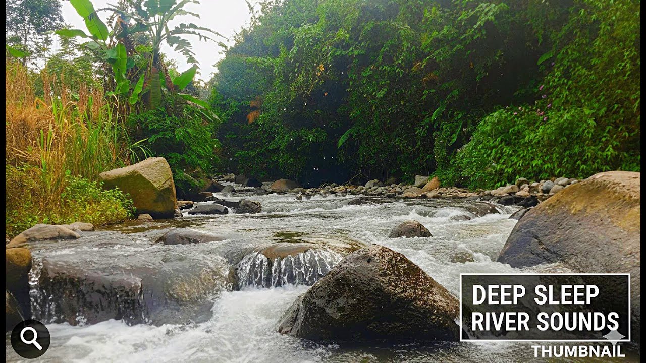 DEEP SLEEP River Sounds 1 Hour Forest Ambience for Insomnia Relief ...