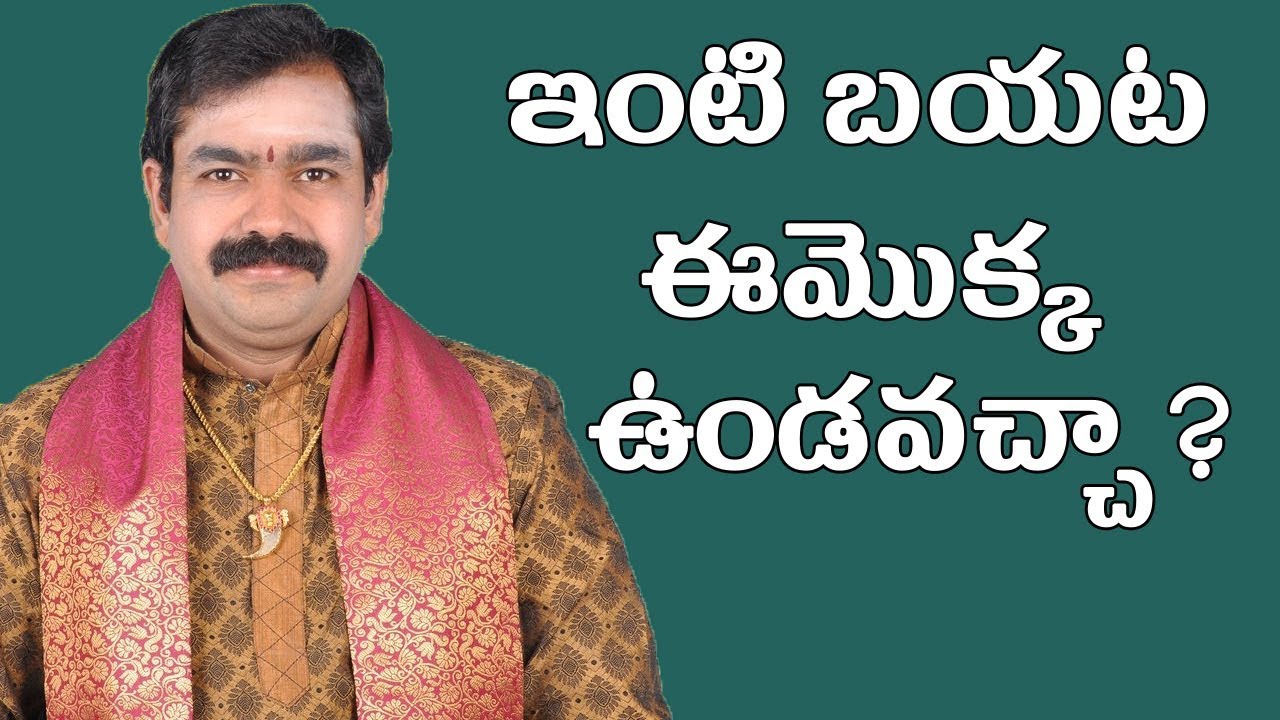 ఇంటి బయట ఈమొక్క ఉండవచ్చా? | Can We Plant Maredu Tree at the Home ...