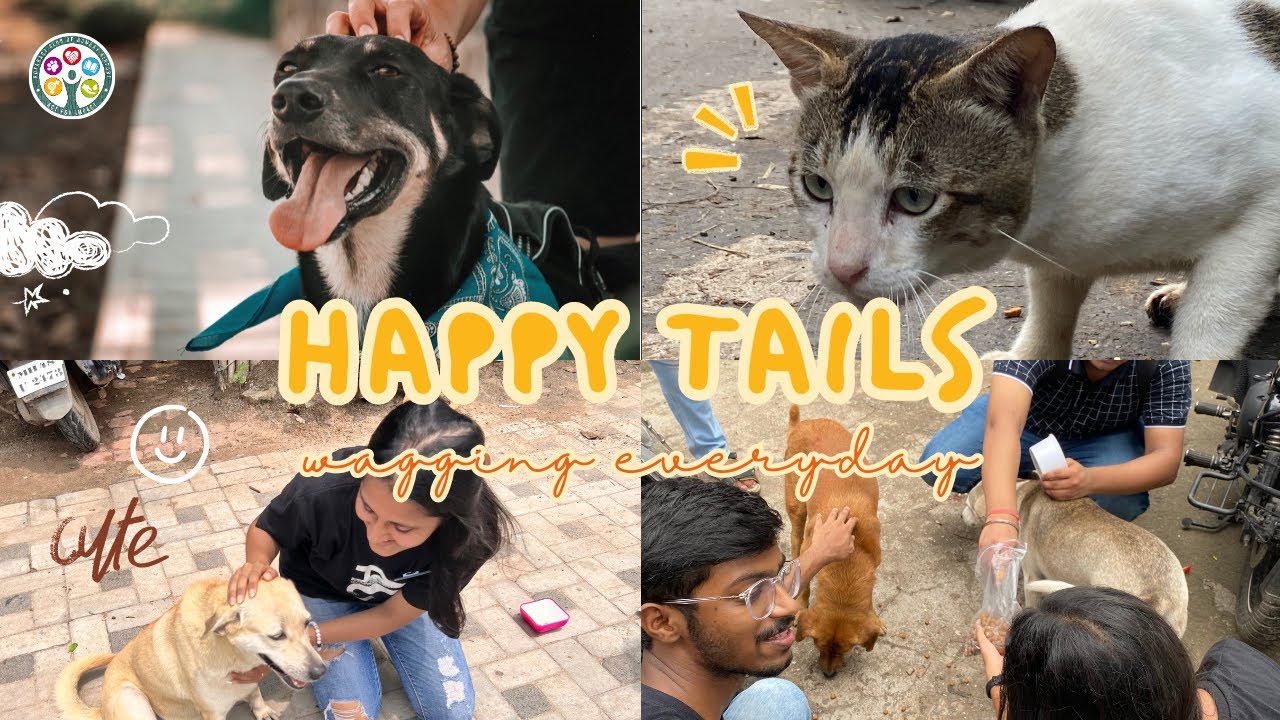 Stray Animals Starvation | Happy Tails Documentary | Echoes of Empathy ...