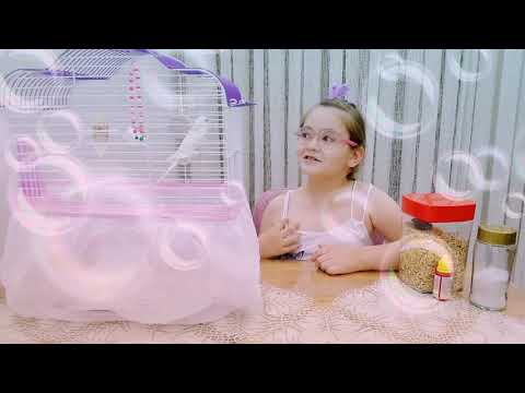 Evimize Hoşgeldin Boncuk 💕💜