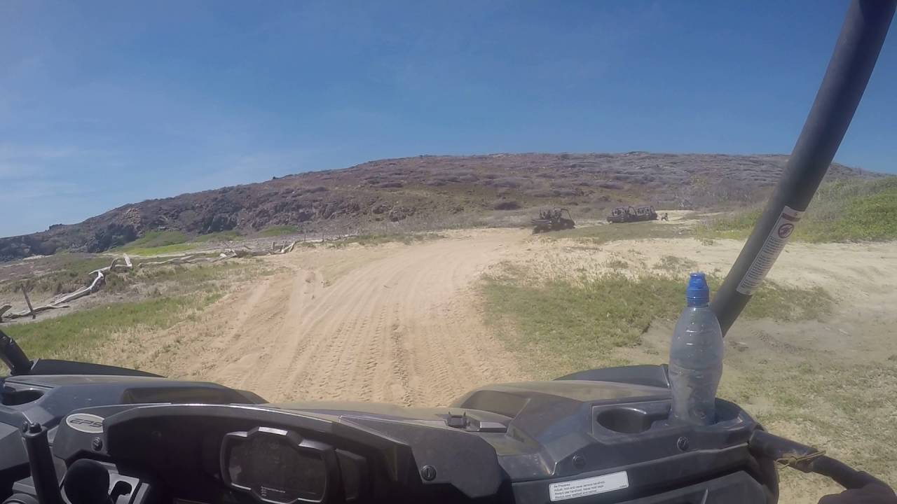 Aruba Dune Buggy Adventure Pt.4 - YouTube
