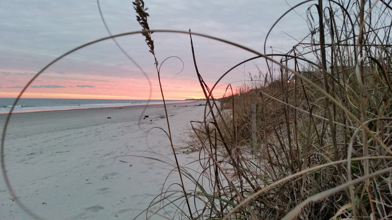 Beach Live Stream - YouTube