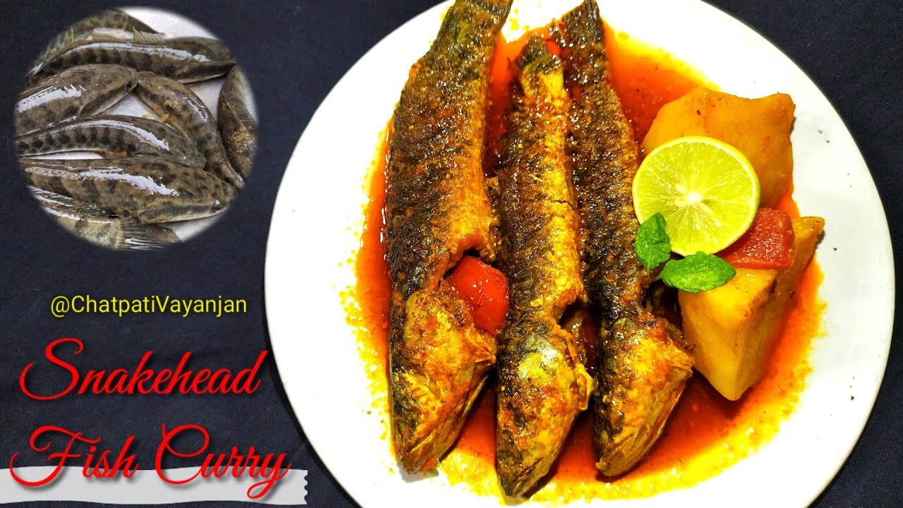 बेहद टेस्टी बिहार स्पेशल गरई मछली बनाए इस तरीक़े से--Garai Fish Curry ...