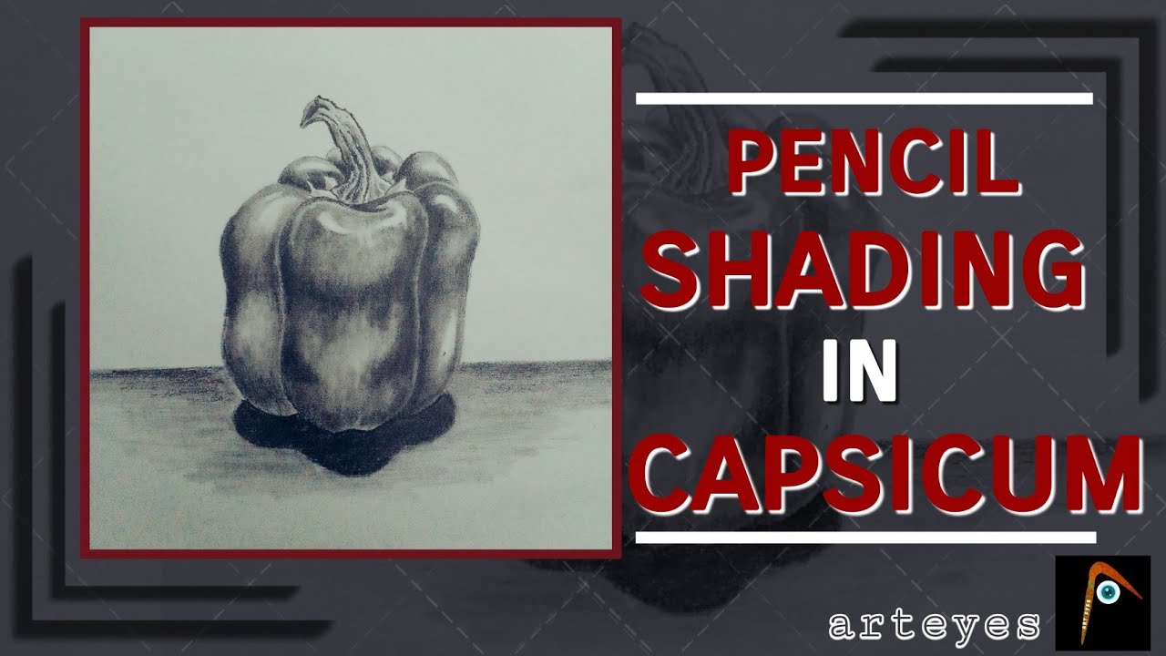 Pencil Shading in Capsicum | Still Life With Pencil Shading | How to ...