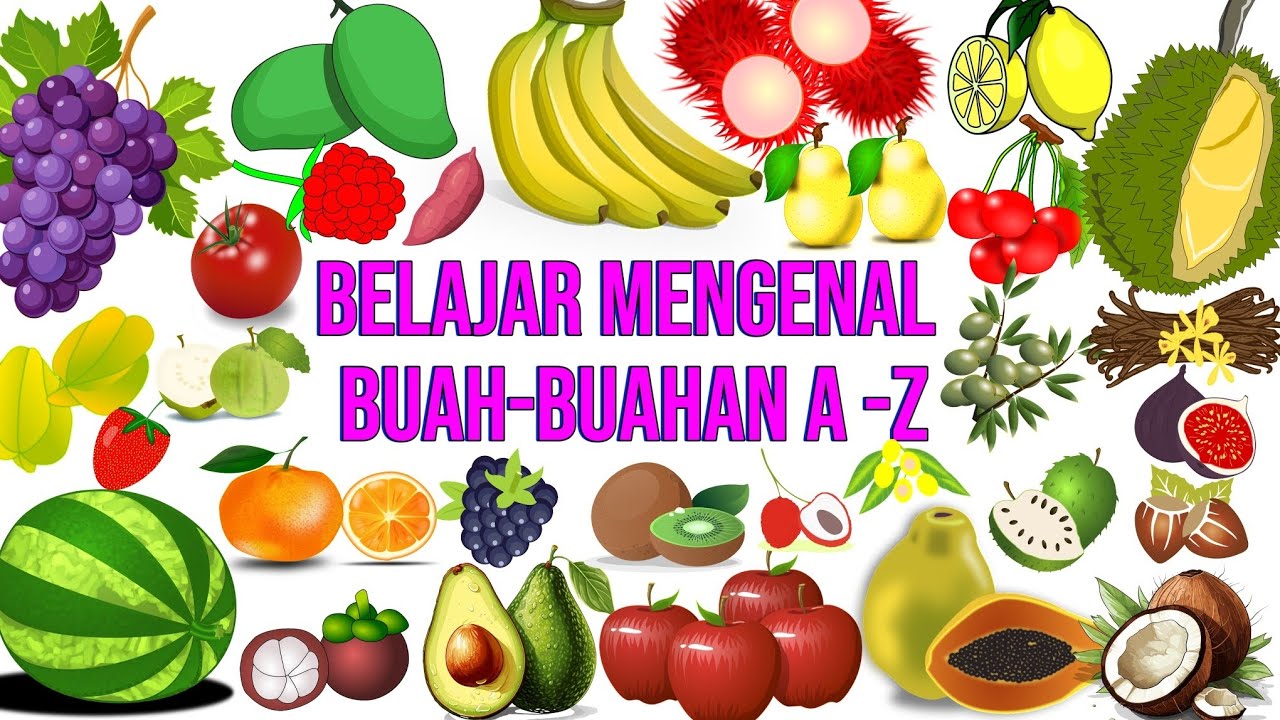 ABC HURUF ALFABET • NAMA BUAH-BUAHAN || NAMA BUAH || BELAJAR MENGENAL ...