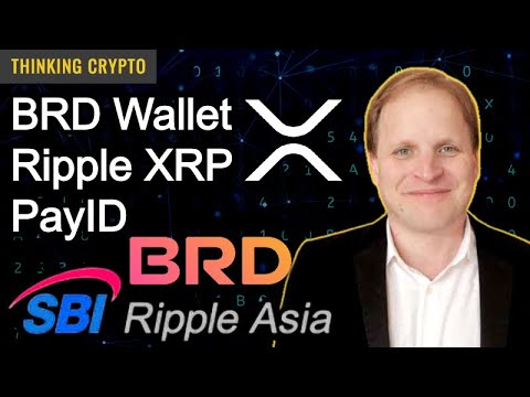 Ripple XRP & ODL Adoption & PayID - CEO of BRD Wallet & SBI Ripple Asia Adam Traidman Interview