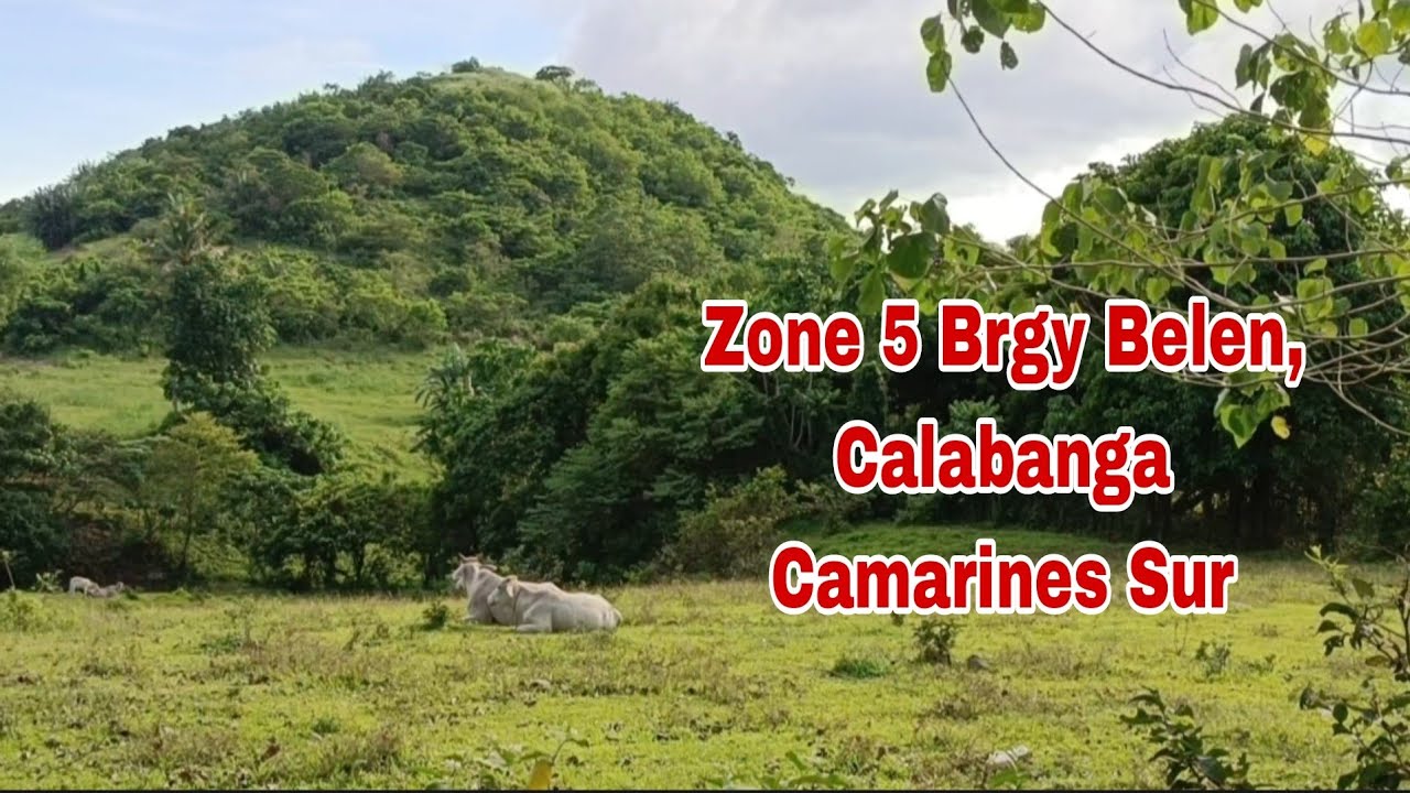 Zone 5 Brgy Belen, Calabanga Camarines Sur - YouTube