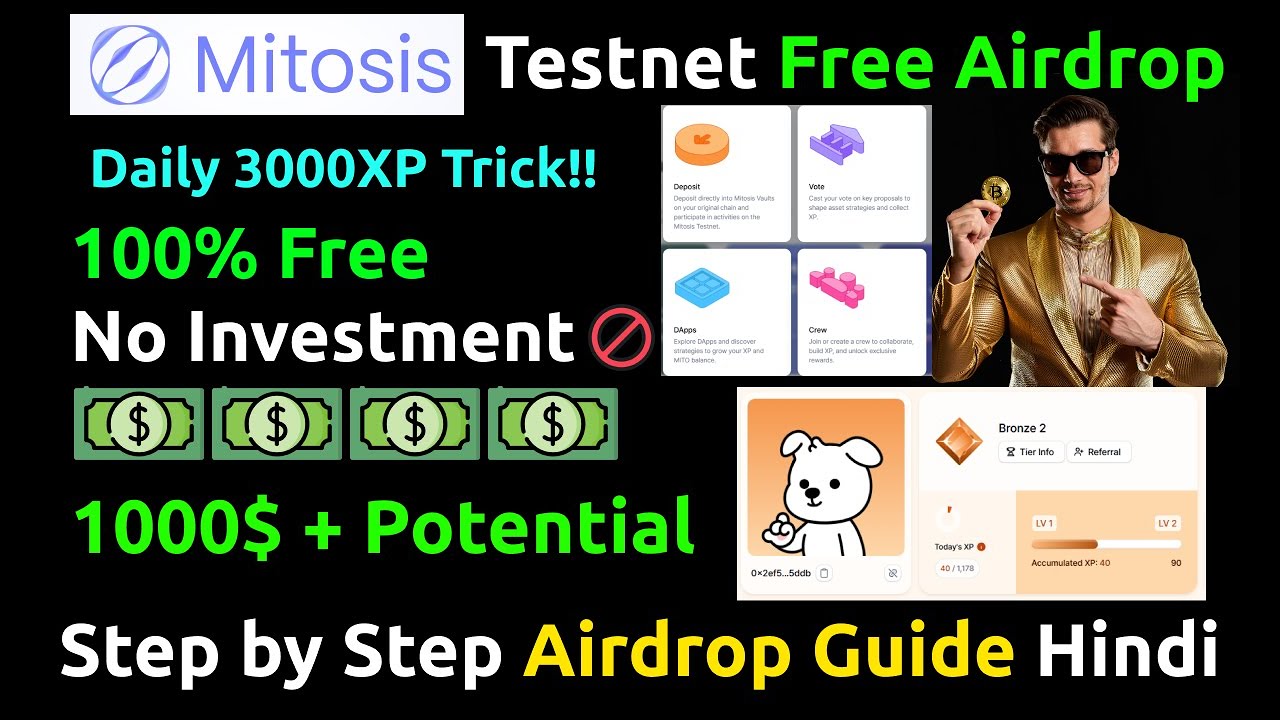Mitosis Testnet Airdrop Guide| Free $1000 Potential Testnet Airdrop ...