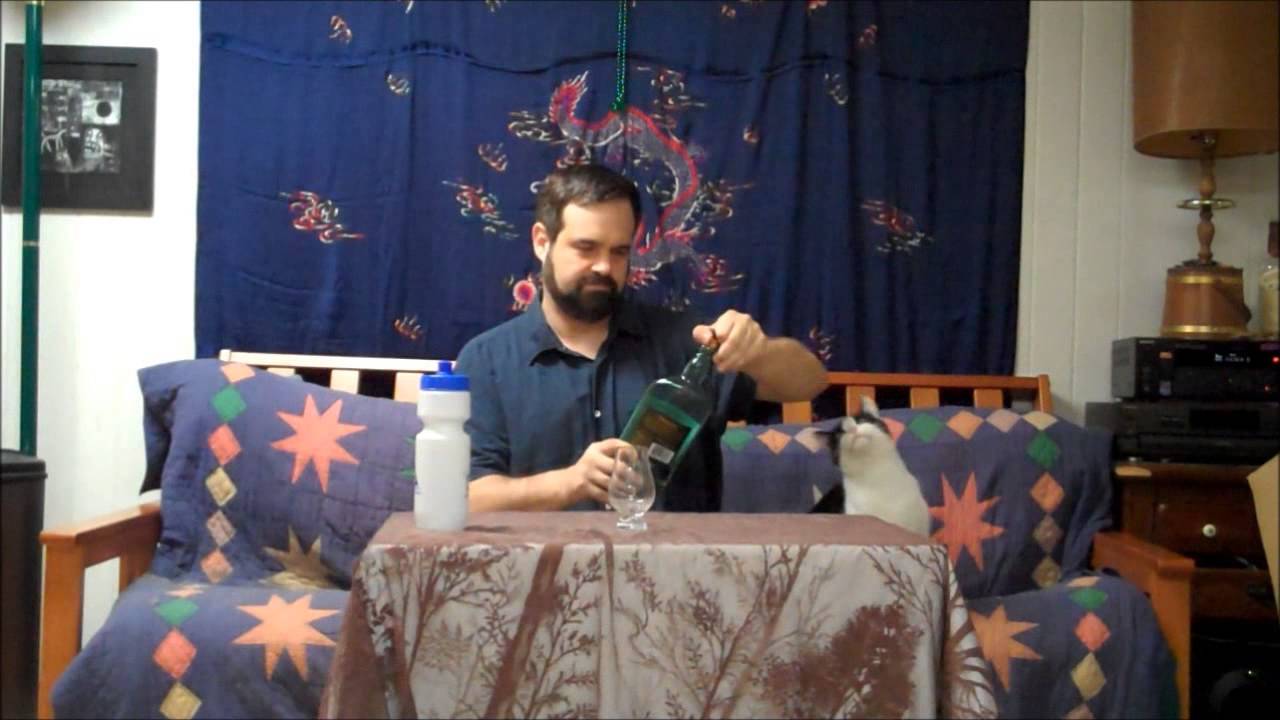 The Very Best of Tipsy the Cat Lolz - YouTube