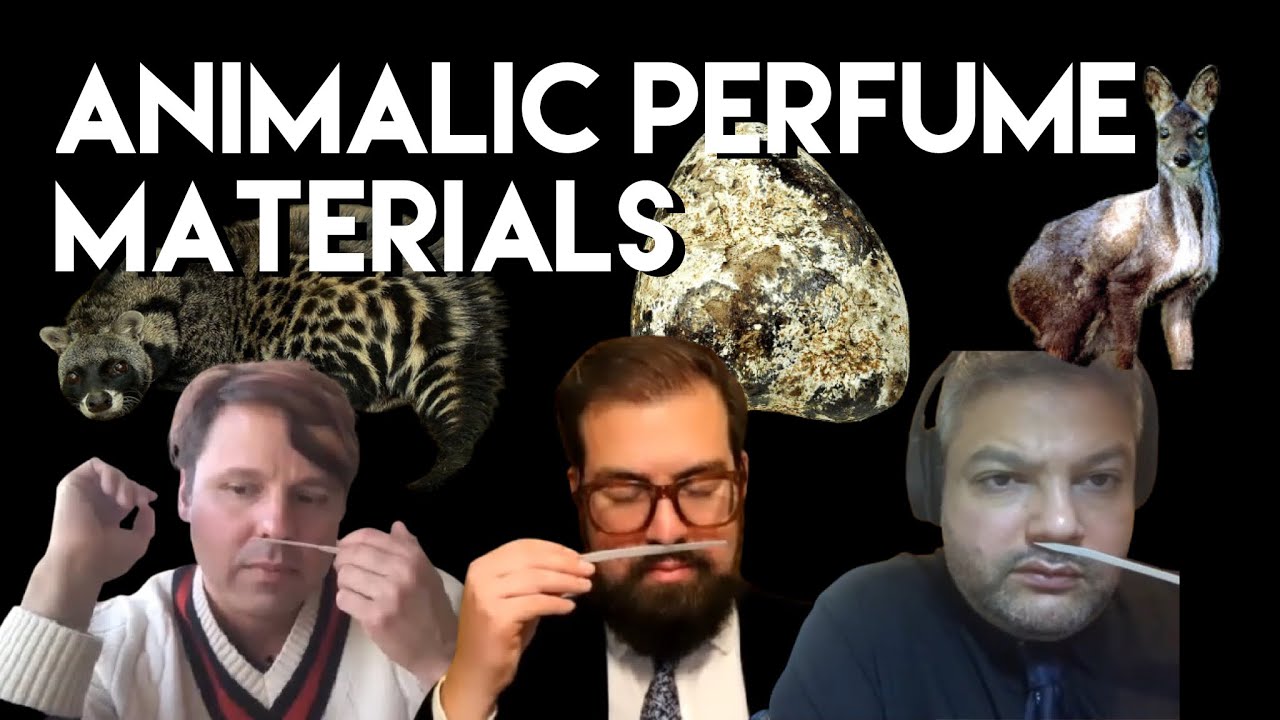 Animalic Perfume Materials - YouTube