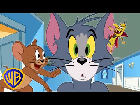 Tom i Jerry po polsku | Problem Toma z kleszczem | WB Kids