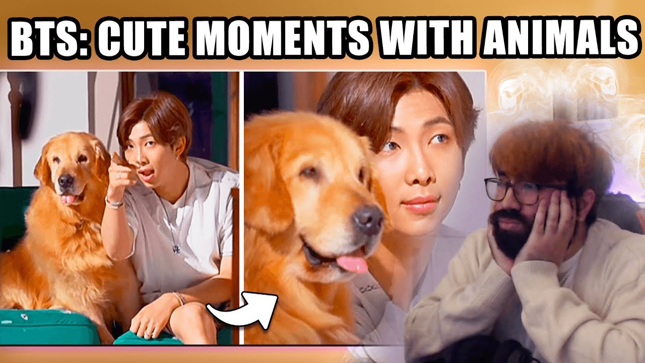 BTS Cute Moments With Animals | Reaction - YouTube