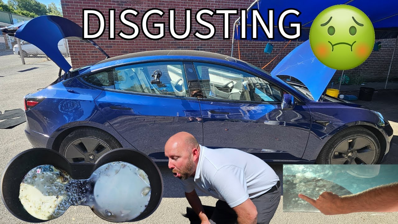 Cleaning the DIRTIEST TESLA I have ever seen! 🤮 and it HAD the white ...