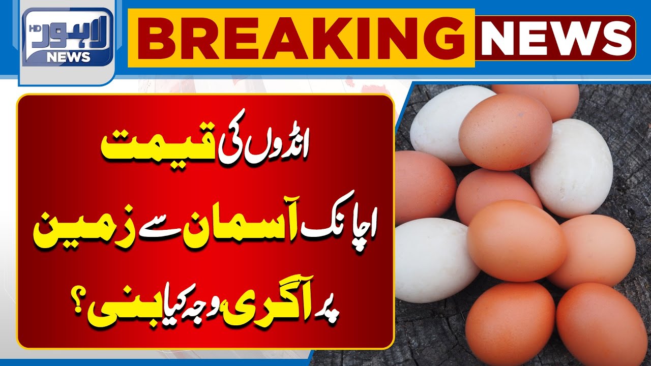 Egg & Chicken Today Prices | Inflation Rate increased | Lahore News HD ...