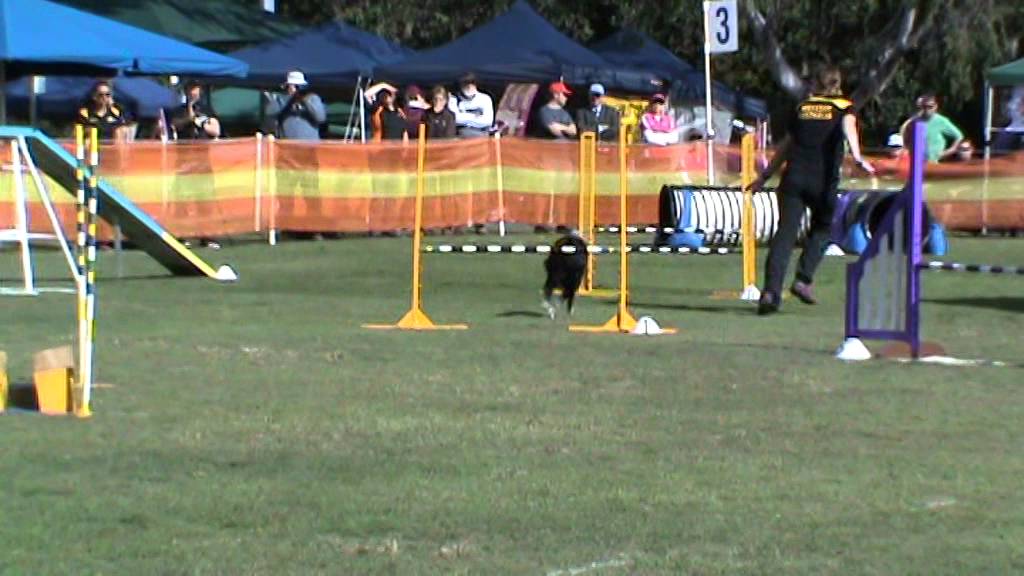 Teams agility diva - YouTube