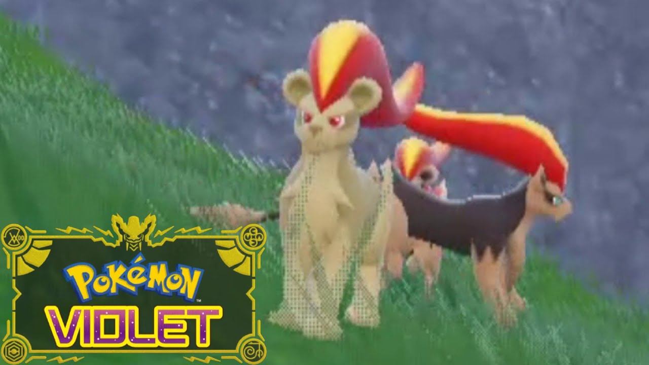 Shiny Pyroar in Violet - YouTube