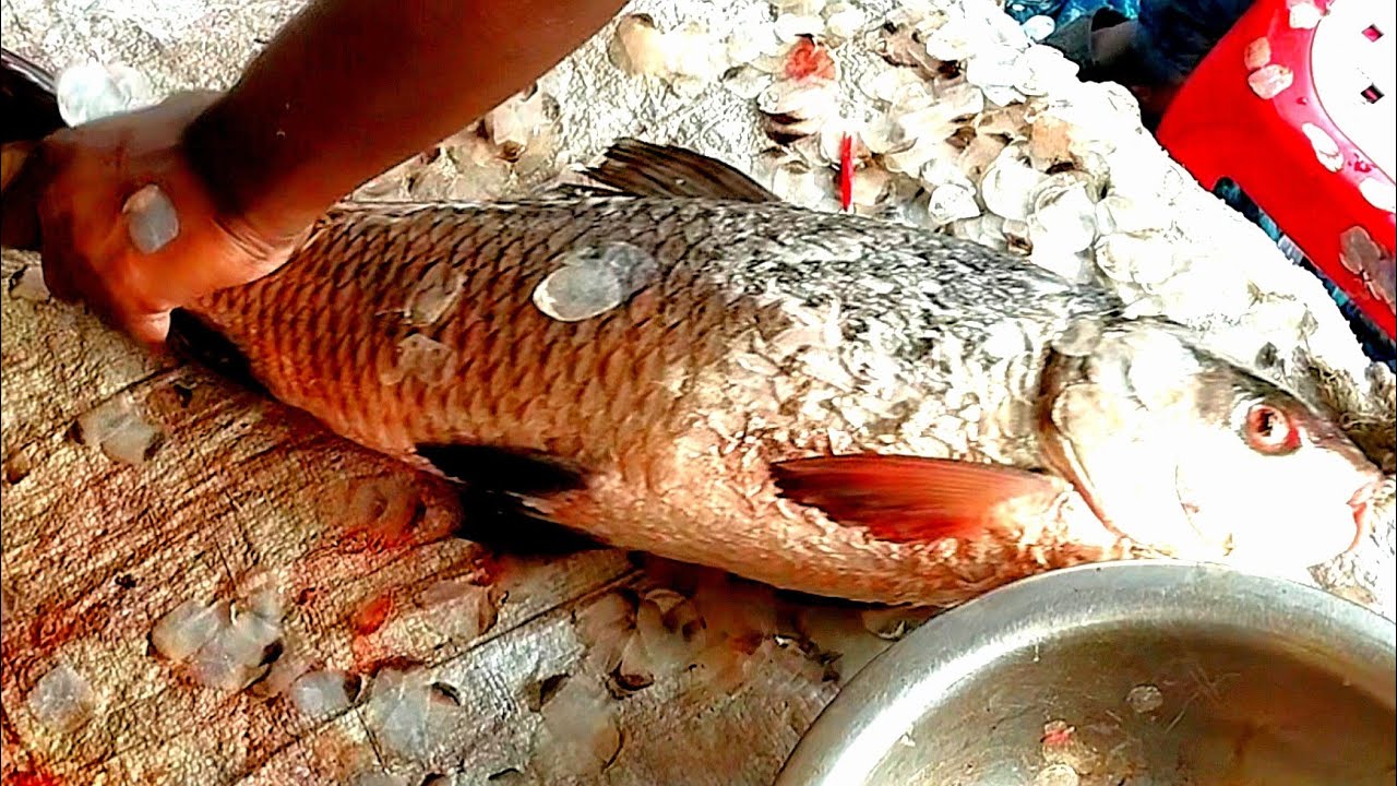 Amazing Rohu cutting fish skills by expert fisherman | Fillet fish ...
