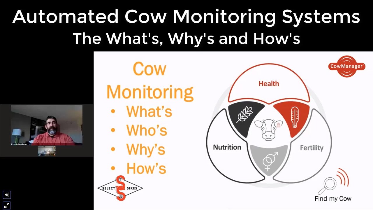 Automated Cow Monitoring Systems: The What's, Why's and How's - YouTube