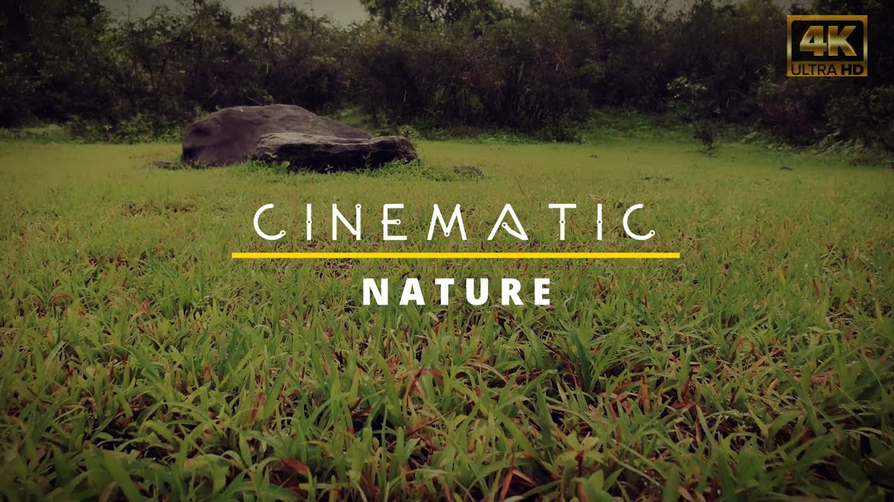 C I N E M A T I C | N A T U R E | Nature Cinematic Video 4k | Nature ...