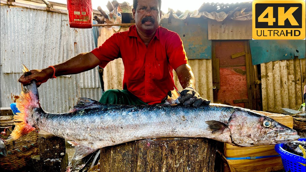 Sila fish cutting video/fishcuttingrs#fish #kasimedu #fishcuttingrs ...