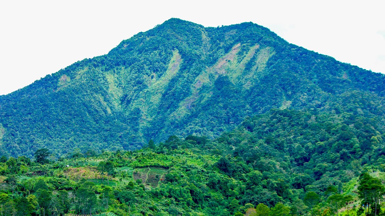 Keindahan alam dan budaya Nagari Tabek Patah Kabupaten Tanah Datar ...