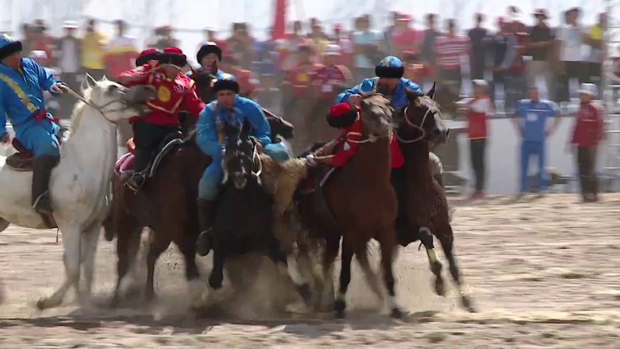 Kok Bory 2016 Kochmondor - YouTube