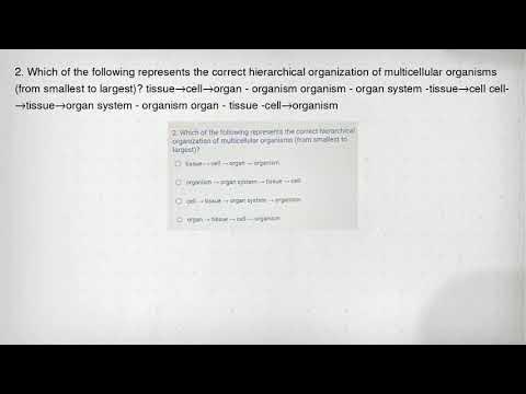 2. Which of the following represents the correct hierarchical ...
