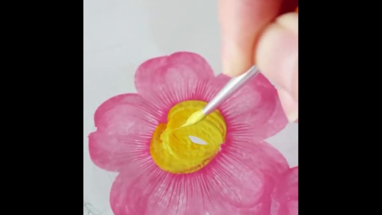 Wild Prairie Rose. Draw flowers. Botanical illustration. - YouTube
