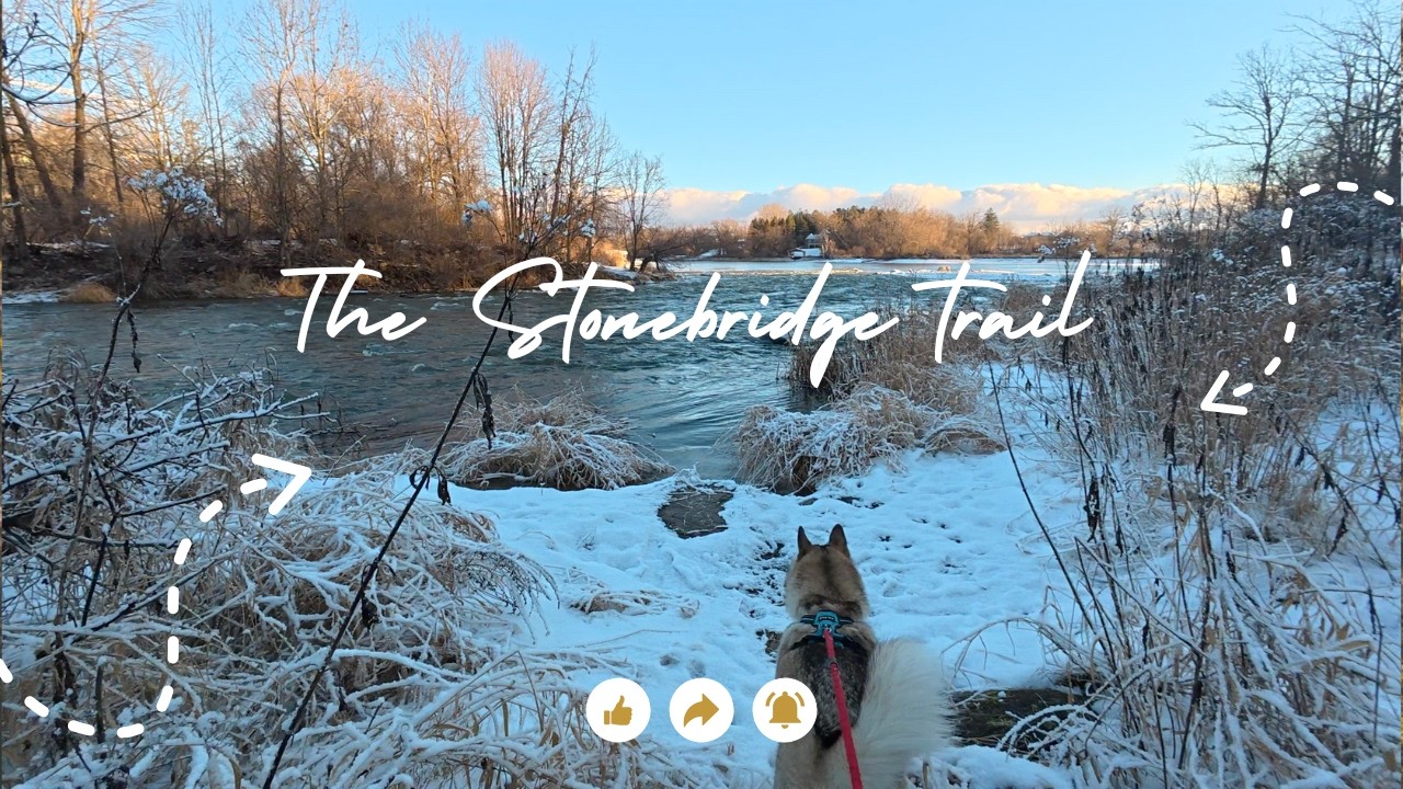 A Beautiful snowy hike on the Stonebridge Trail - YouTube