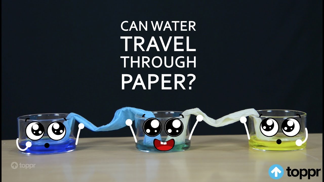Making water travel through paper | Toppr Experiments - YouTube