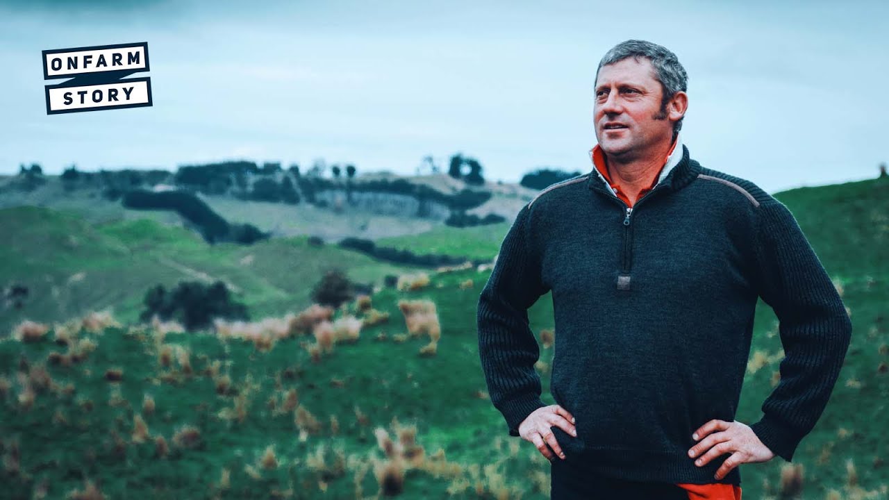 Sheep and Beef Farm – Telling New Zealand’s Positive Farming Story | On ...