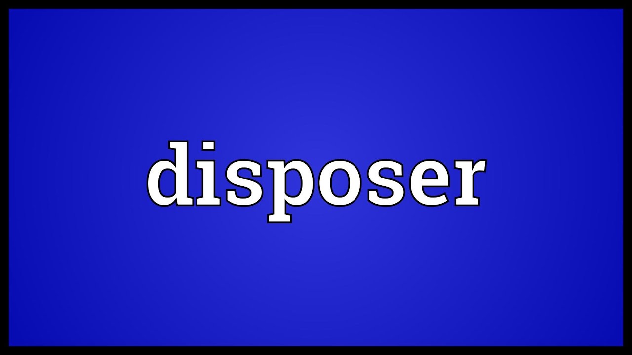 Disposer Meaning - YouTube