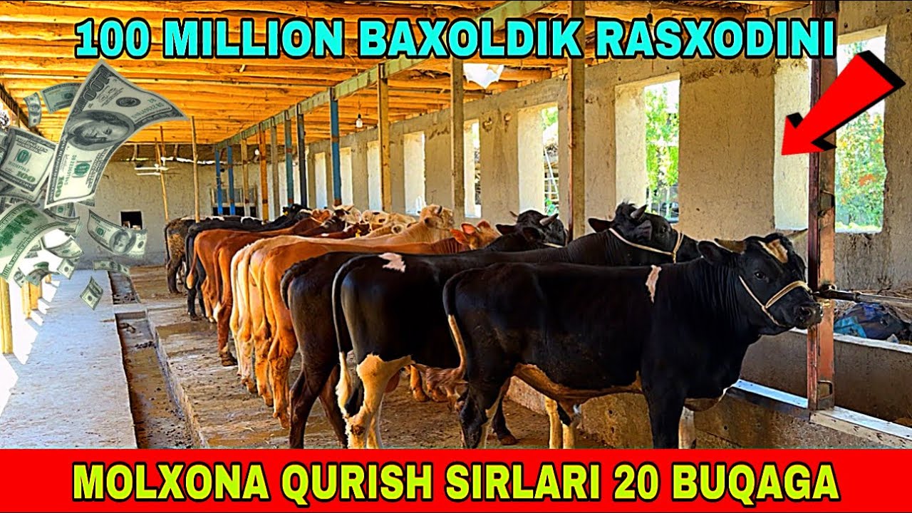 MOLXONA QURISH SIRLARI 20 TA BUQA BOQISH UCHUN - YouTube