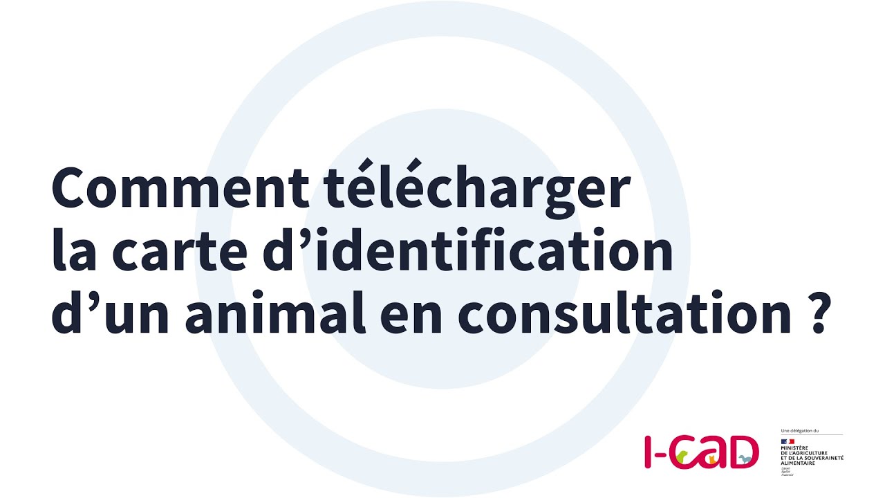 Comment télécharger la carte d’identification d’un animal en ...