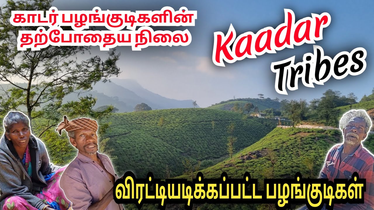 காடம்பாறை காடர் பழங்குடிகளின் நிலைக்கு காரணம்? | History of the Kadar ...