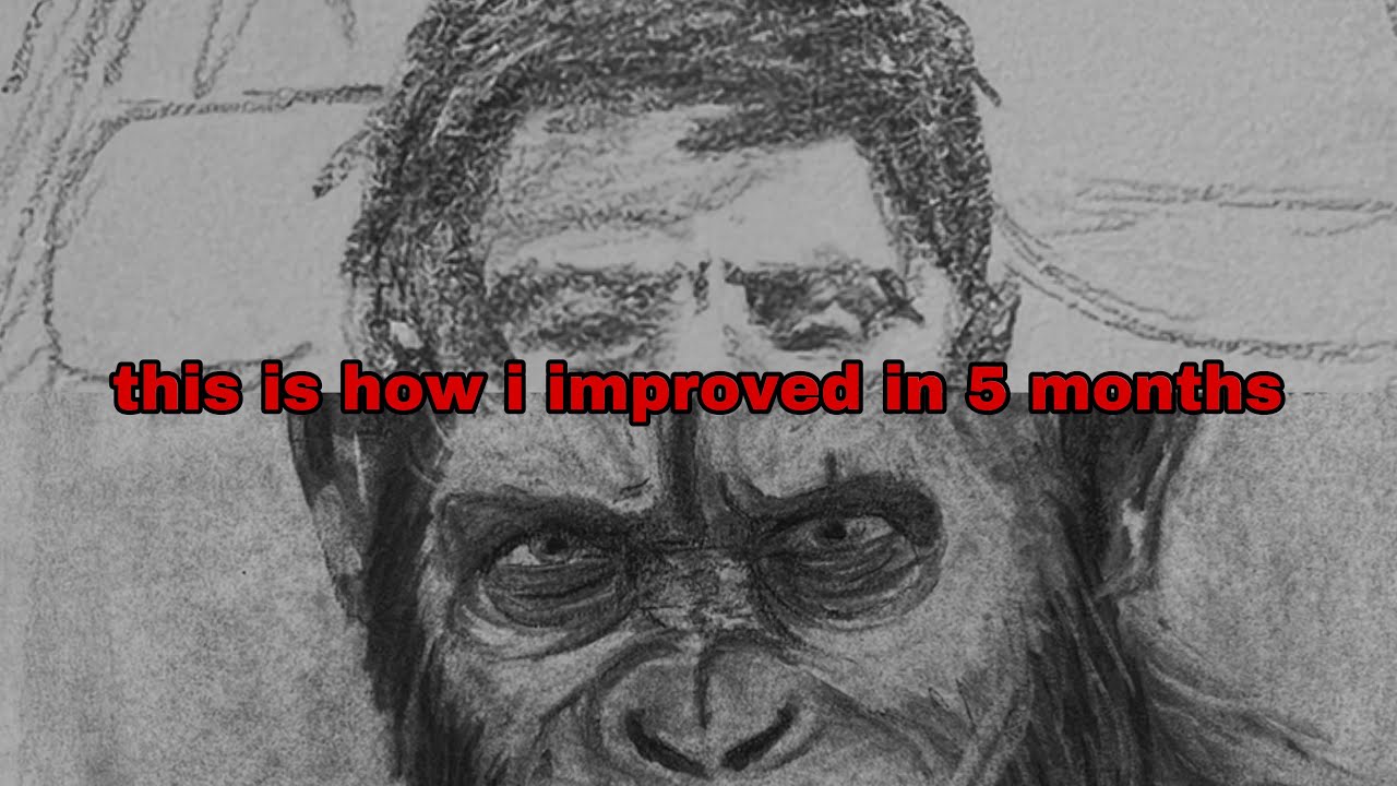 i took drawing 100 and this is how my art improved - YouTube